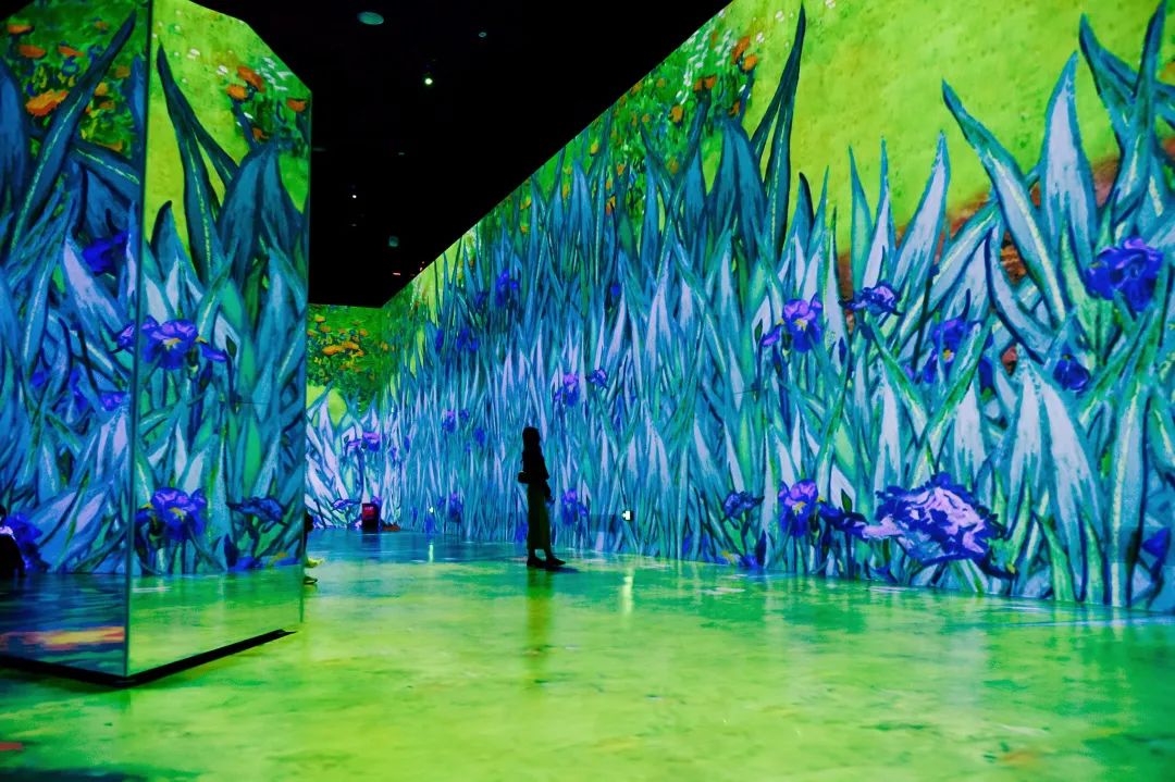 MANA 全球新媒体艺术平台 艺术/设计/科技/跨界创新