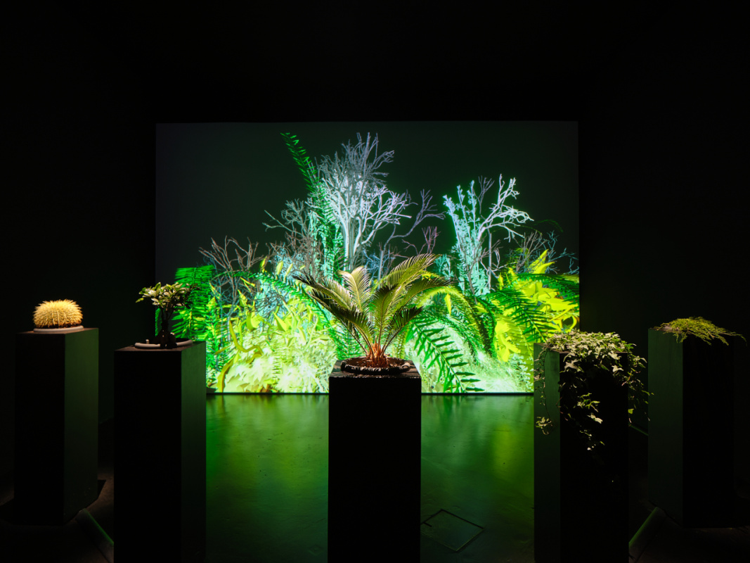 MANA 全球新媒体艺术平台 艺术/设计/科技/跨界创新